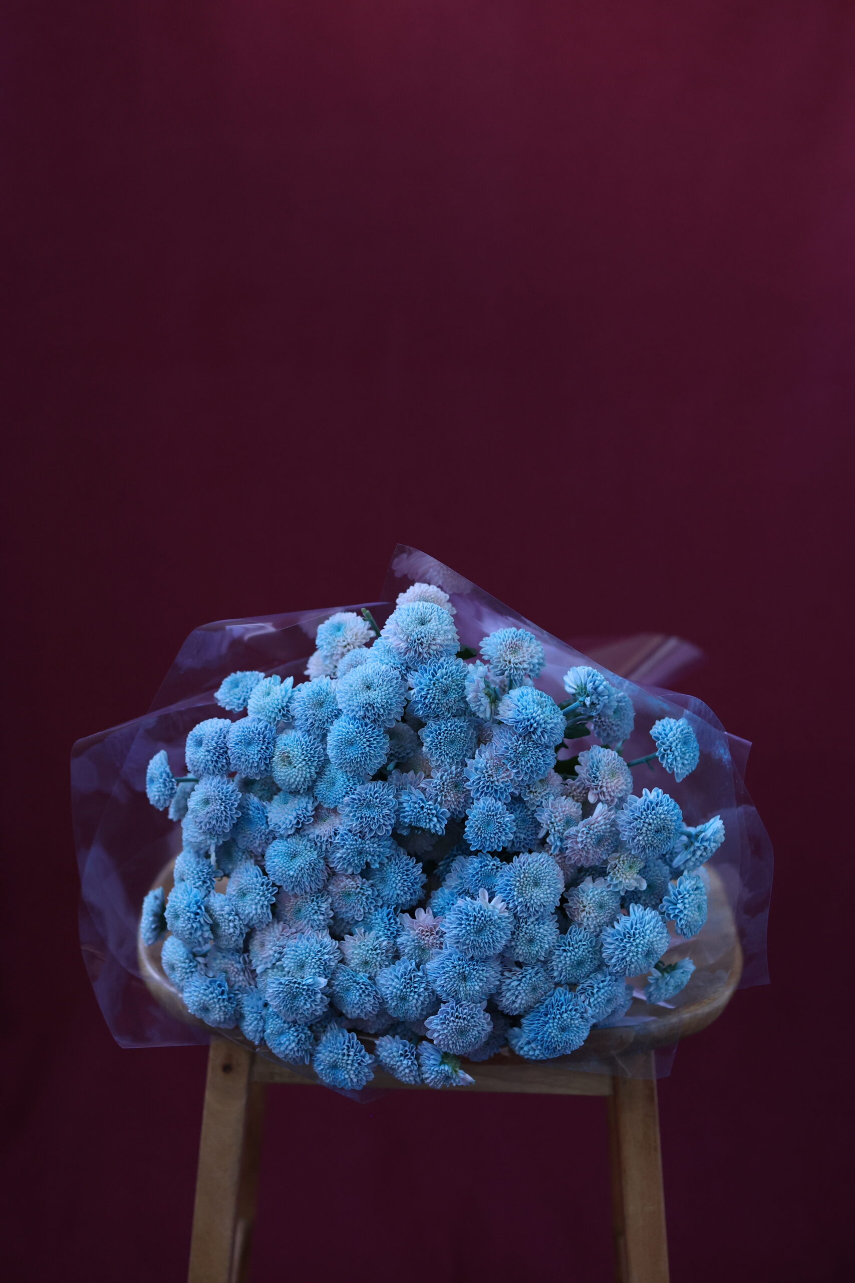 Baby Blue - Flower Projects