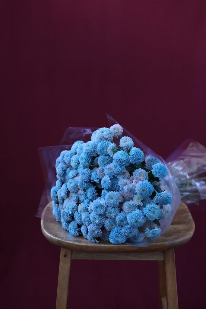 Baby Blue - Flower Projects